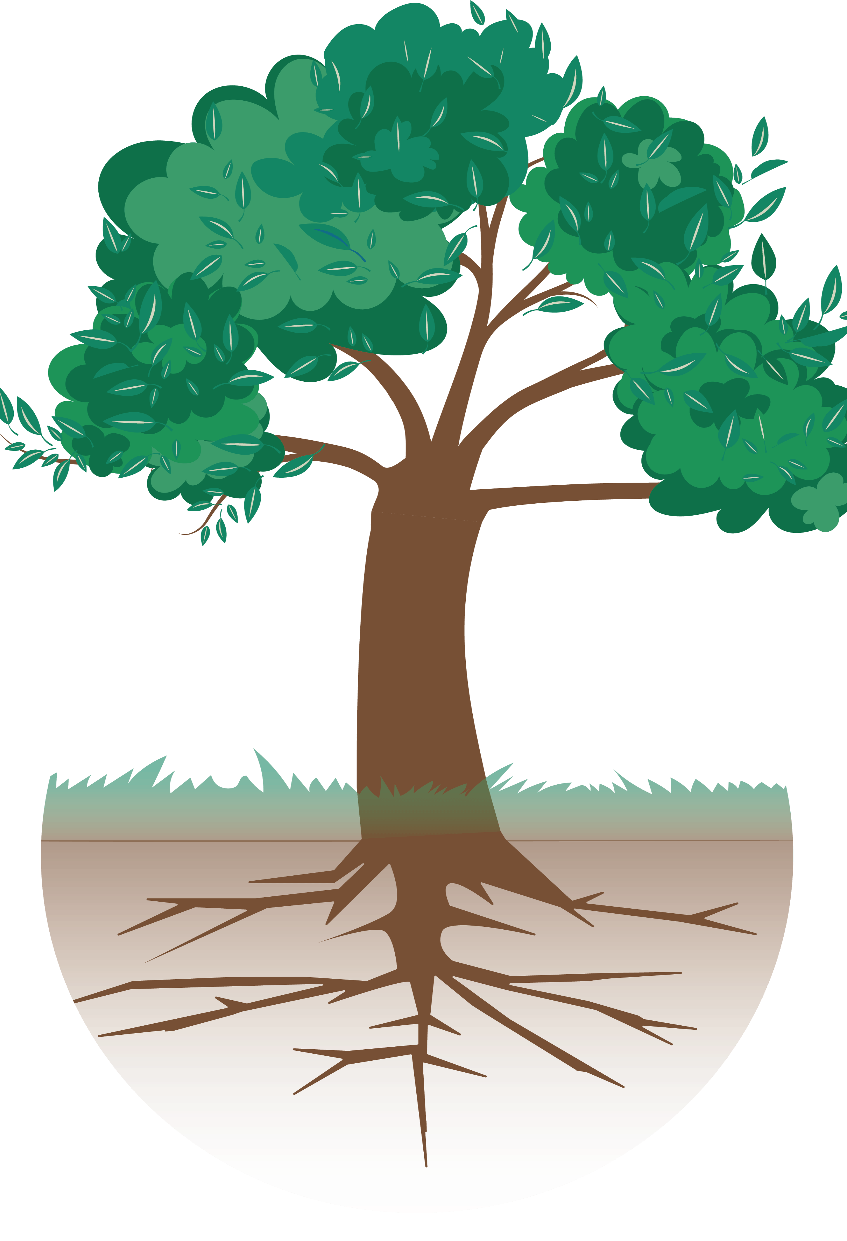 MF3_Mapa1_arbol_de_las_ P_V3_04_10_18_Veronica copia copia