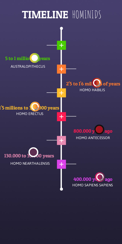 Homo Habilis Timeline