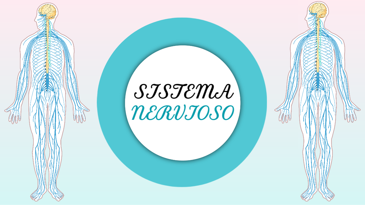 Sistema Nervioso
