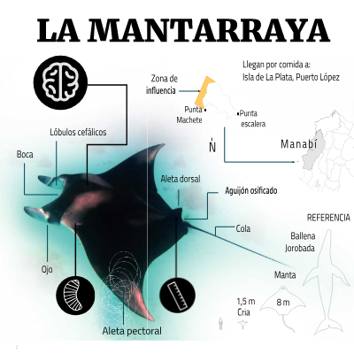 MANTARAYA