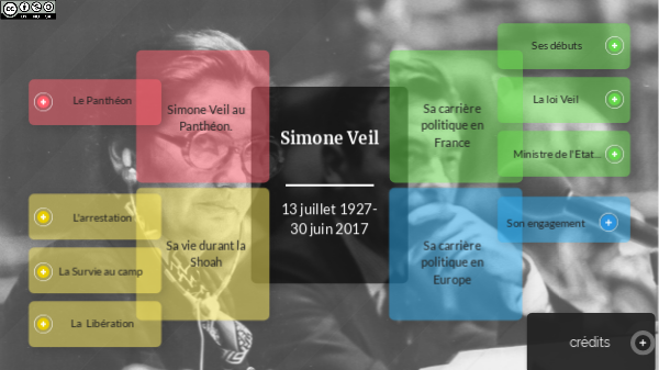 la carriere politique de simone veil
