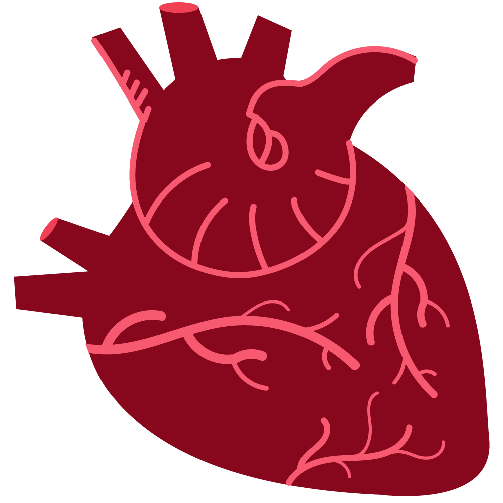 Parts Of The Body