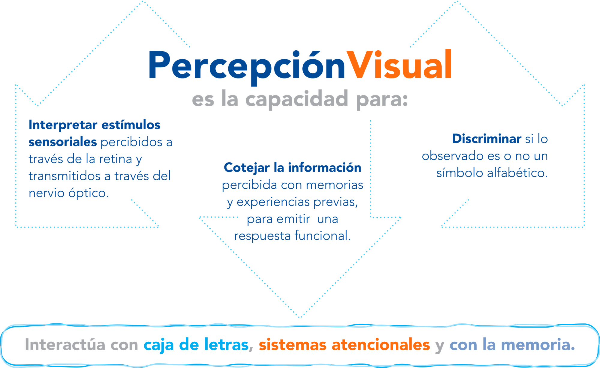 Percepción visual